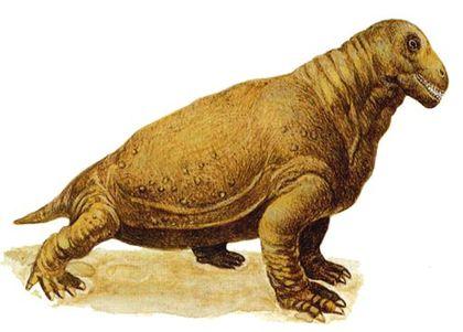 V. Reptilia sensu lato-01. Походження, історія і основні групи викопних ...